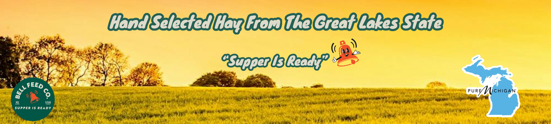 Hand Packaged Hay – Bell Feed Company