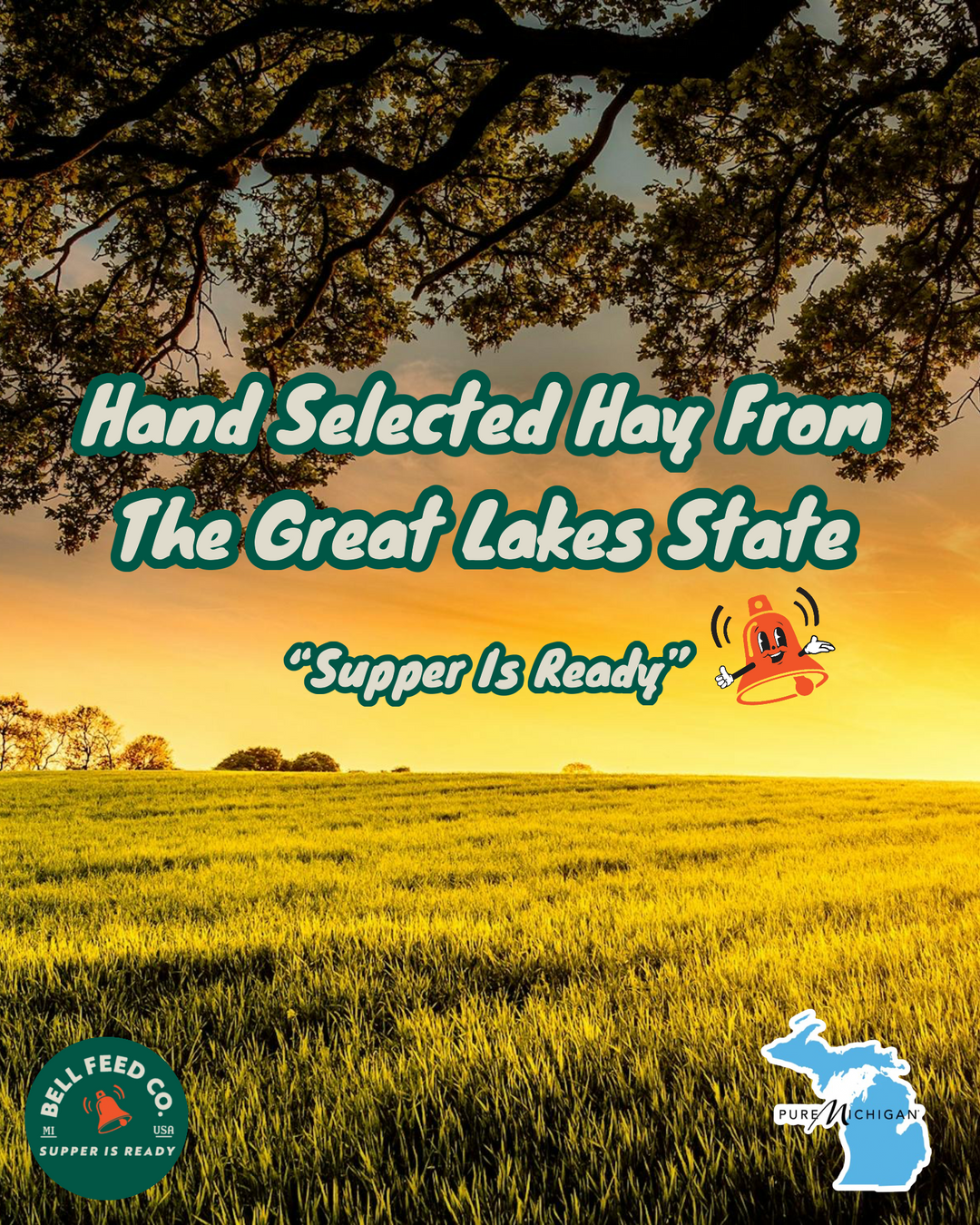 Hand Packaged Hay – Bell Feed Company