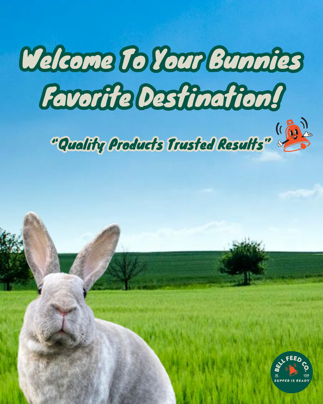 Hay For Rabbits - Free Shipping + Fast Delivery – Bell Feed Company